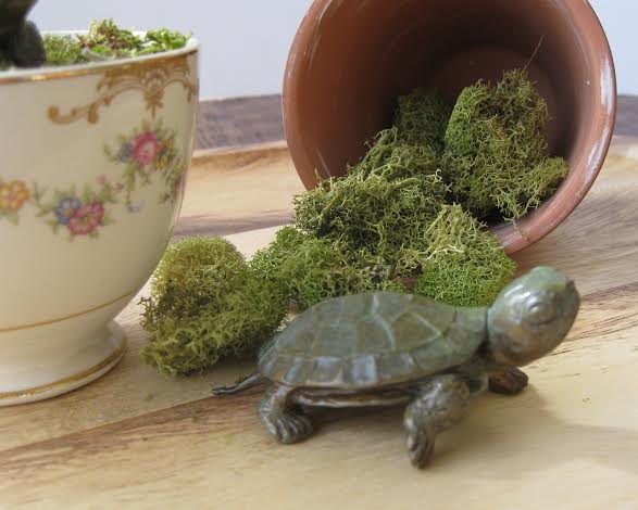 Bronze Mini Turtle Sculpture - Artful Dishes