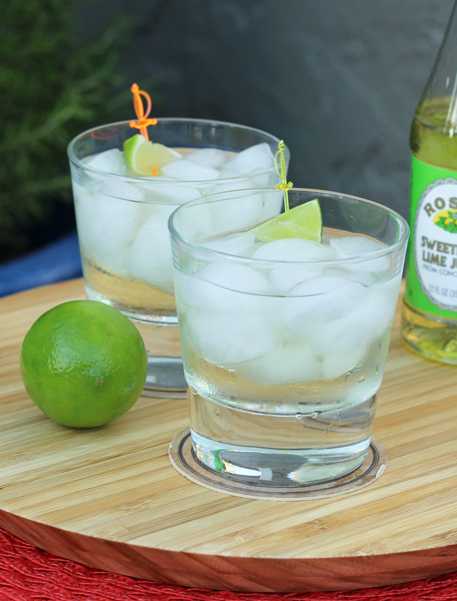 Old School Vodka Gimlet 6 - Artful Dishes